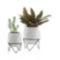 Aaro Planters with Stands | Crate and Barrel