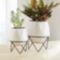 Aaro Planters with Stands | Crate and Barrel