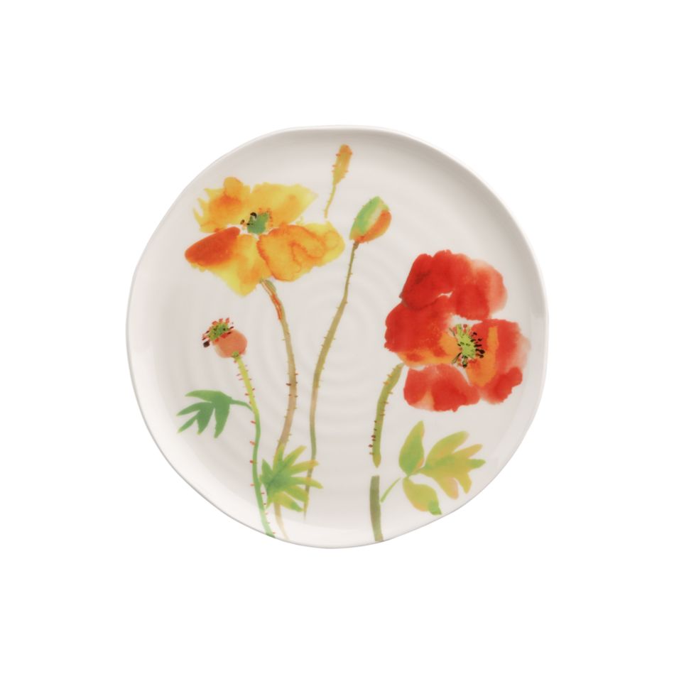 watercolor plates | orother