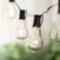 Vintage Edison Bulb Outdoor String Lights + Reviews | Crate and Barrel
