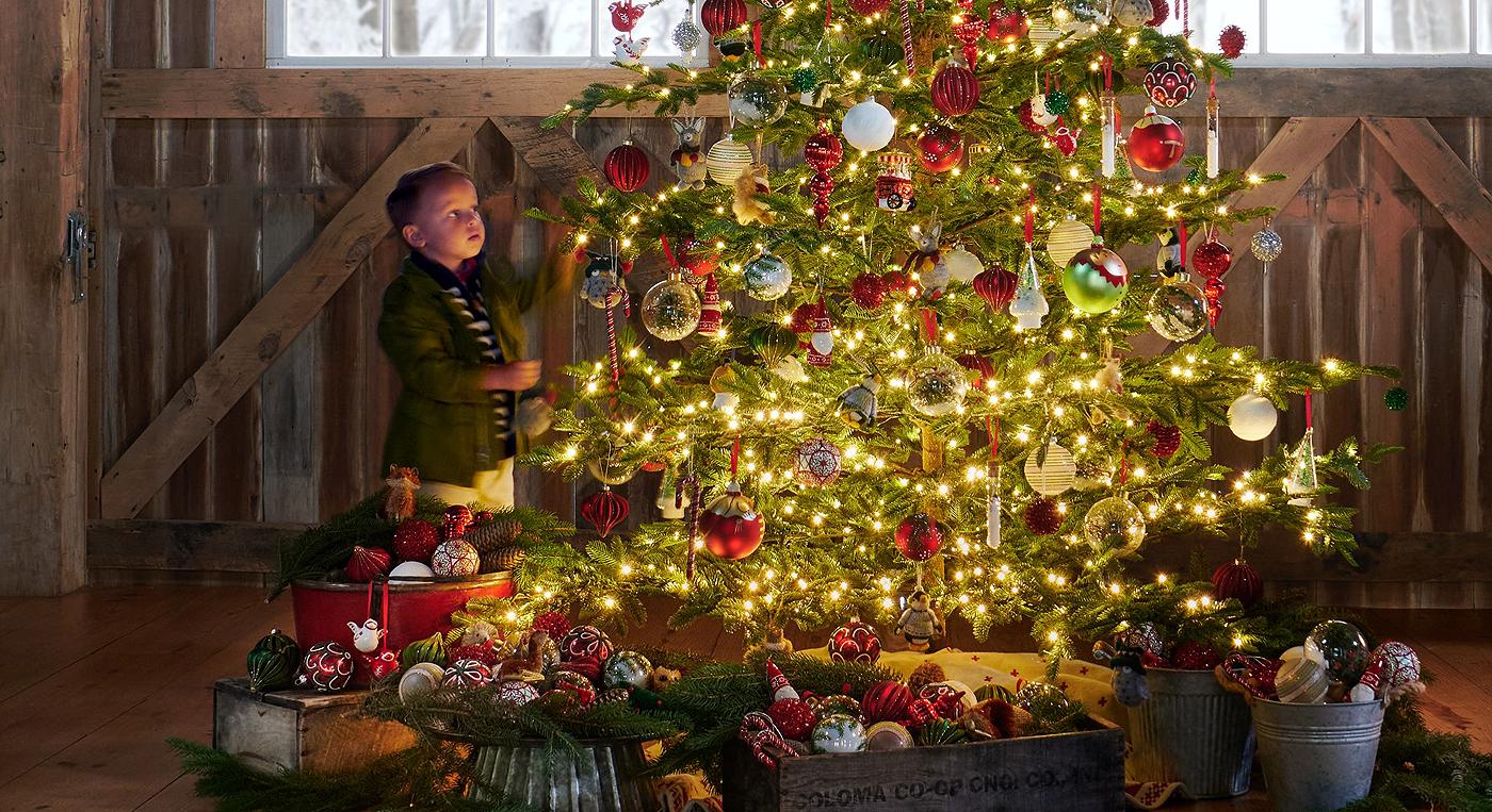 Holiday Serveware, Dinnerware and Decor | Crate and Barrel Canada